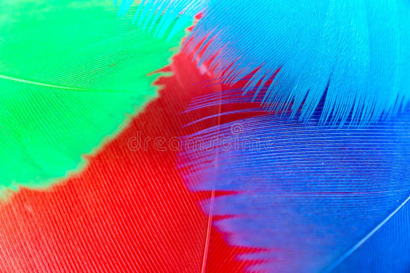 Colorful Feather Background Stock Photo - Image of texture, feathers ...