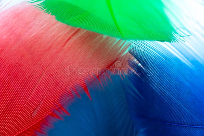 Colorful Feather Background Stock Photo - Image of colored ...