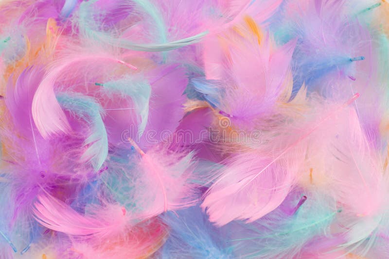 Colorful Feather Background, Top View Stock Photo - Image of pattern ...