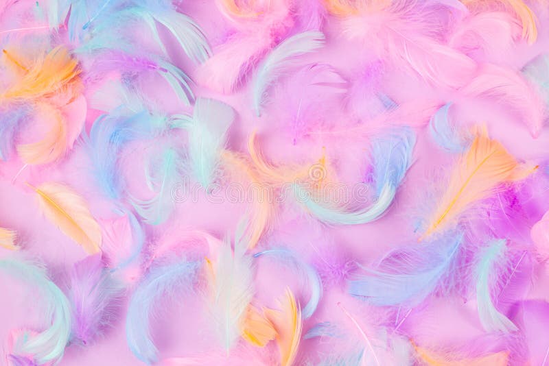Colorful Feather Background Stock Image - Image of colour, bird: 172734639