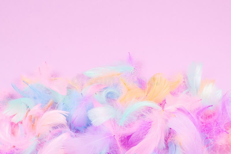 Colorful Feather Background Stock Photo - Image of detail, natural ...