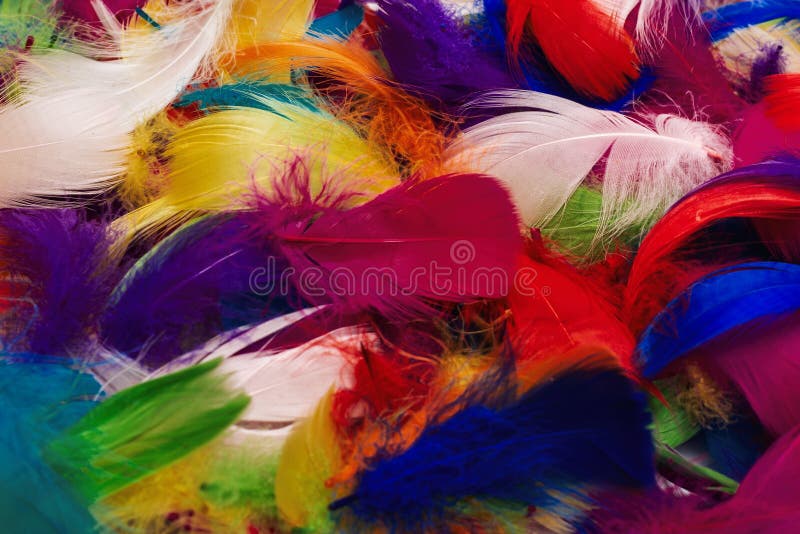 Colorful Feather Background Stock Image - Image of surprise, pattern ...