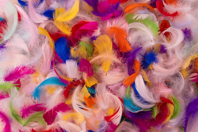 Colorful Feather Background, Top View Stock Image - Image of fuzzy ...