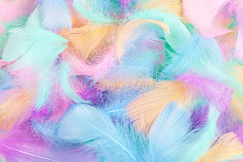 Colorful Feather Background, Top View Stock Photo - Image of ...