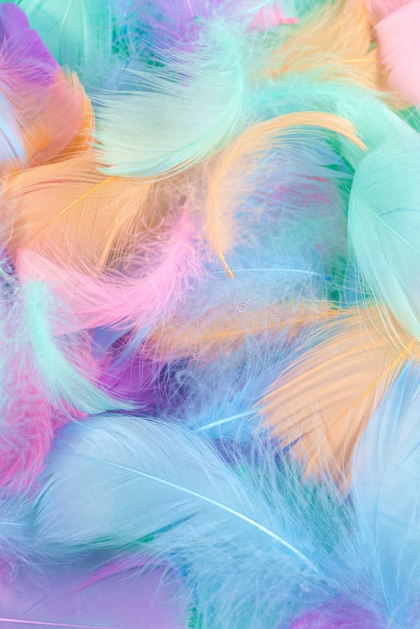 Colorful Feather Background, Top View Stock Image - Image of elegant ...