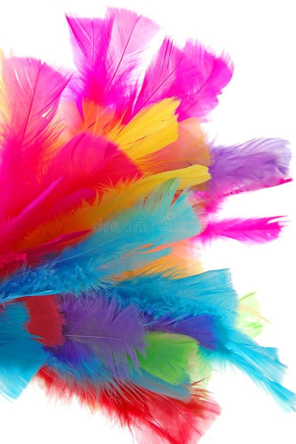 Colorful feathers stock image. Image of closeup, bird - 27996443