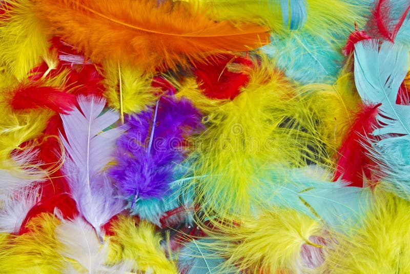 Colorful feathers stock photo. Image of feathers, easy - 26610794