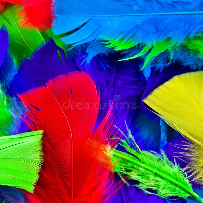 Colorful feathers stock image. Image of closeup, bird - 27996443