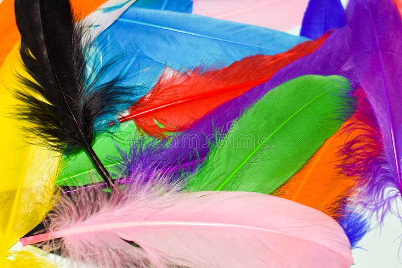 Colorful Feathers Closeup Image Stock Photo - Image of feathers, copy ...