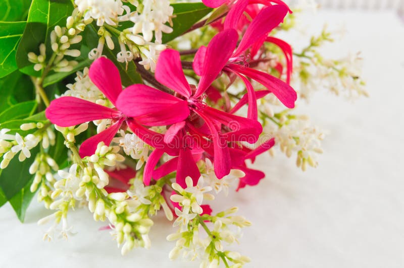 Colorful Field Flowers Bouquet Stock Photo - Image of bouquet, pink ...