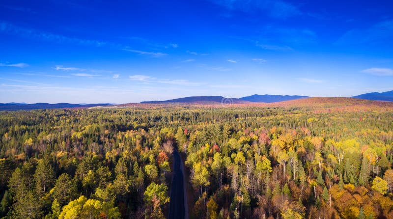 Colorful Field of Trees on the Side of a Mountain during Fall Foliage ...