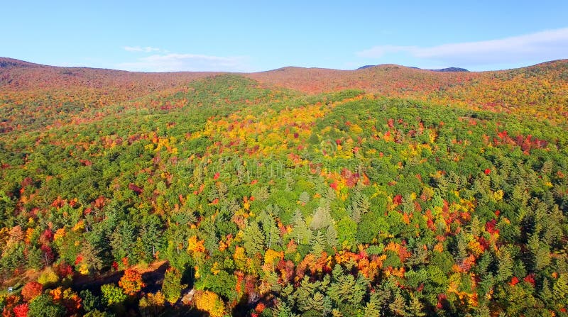 Colorful Field of Trees on the Side of a Mountain during Fall Foliage ...