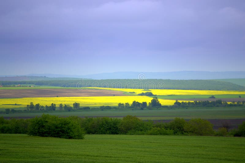 Colorful fields landscape stock image. Image of spacious - 47787927