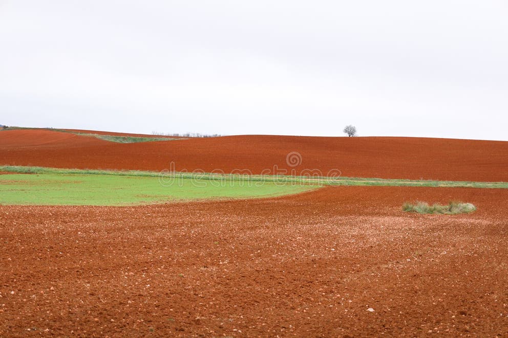 Colorful Fields Planted in Cuenca Region Stock Photo - Image of field ...