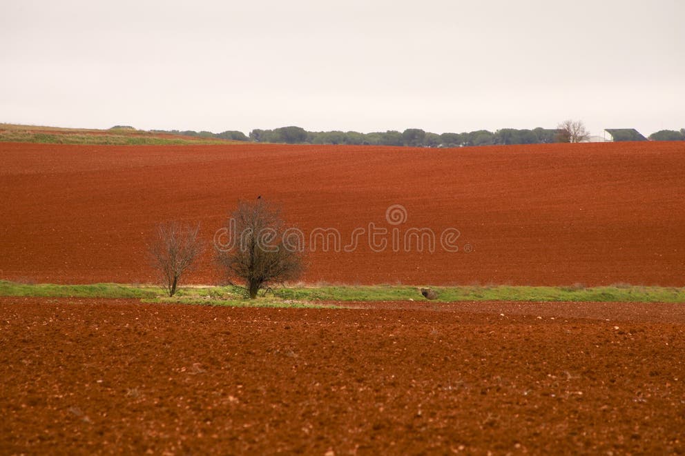 Colorful Fields Planted in Cuenca Region Stock Photo - Image of ...
