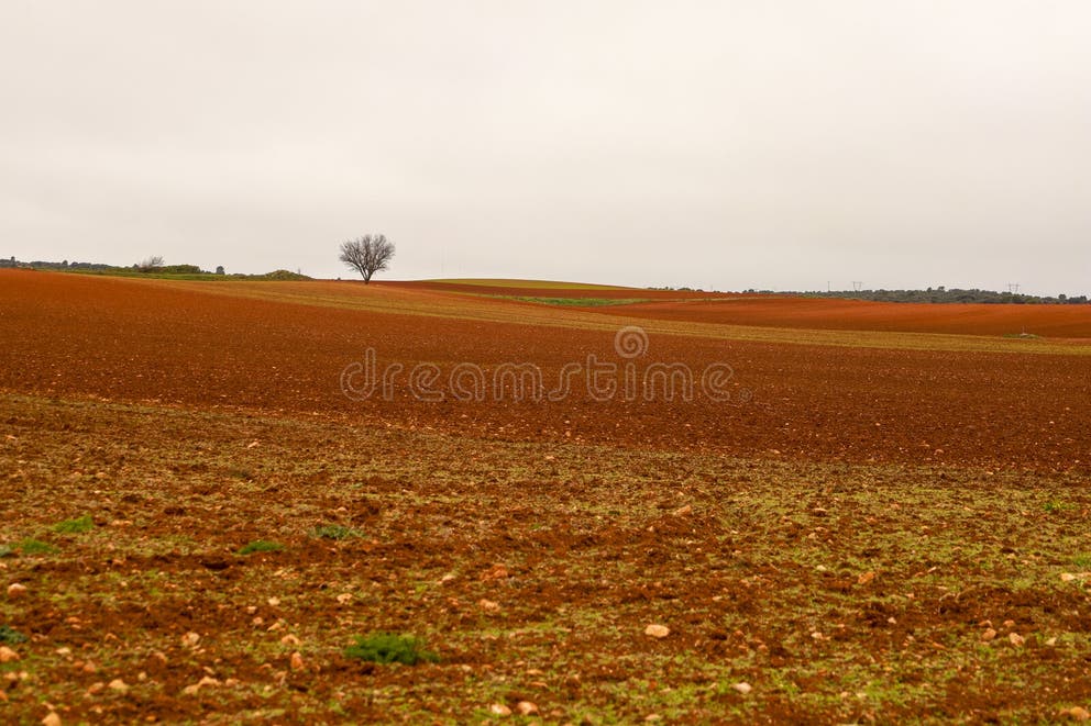 Colorful Fields Planted in Cuenca Region Stock Image - Image of spain ...