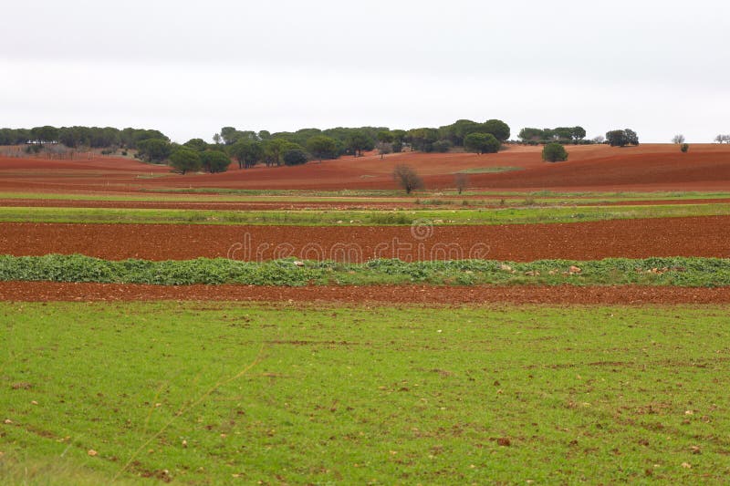 Colorful Fields Planted in Cuenca Region Stock Image - Image of ...