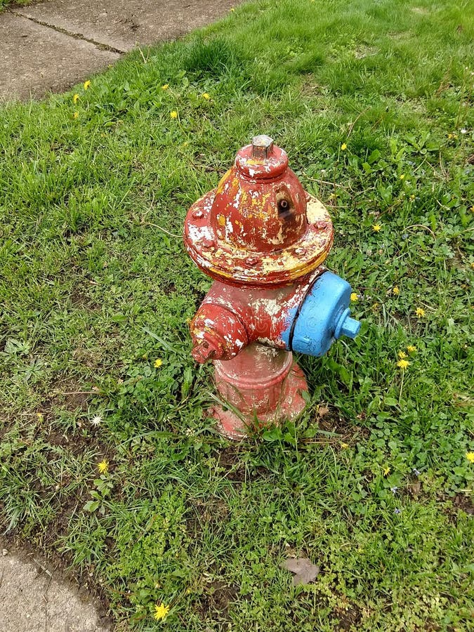 Colorful Fire Hydrant stock photo. Image of antique - 148486998