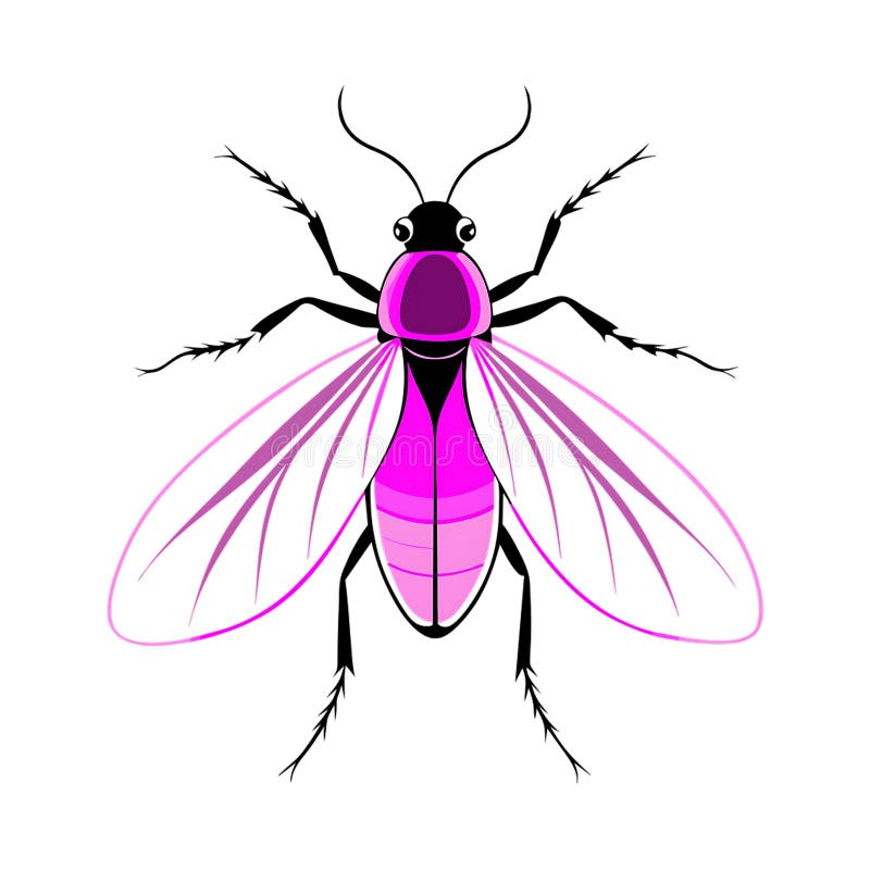 Colorful Firefly Illustration Featuring Intricate Wing Details and ...