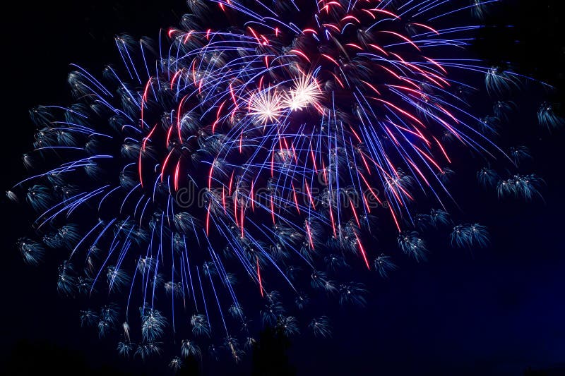 Colorful Fireworks Lights on the Night Sky Background Stock Image ...