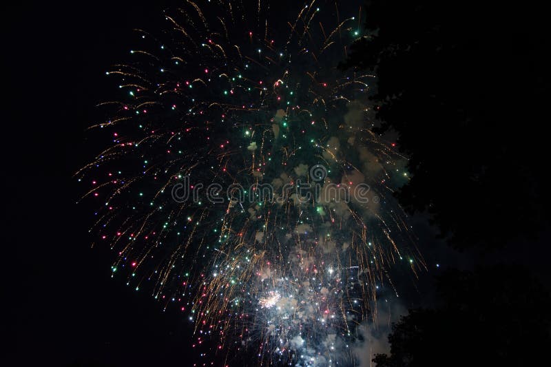 Colorful Fireworks at Night with a Dark Tree in the Foreground Stock ...