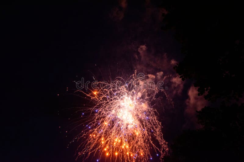 Colorful Fireworks at Night with a Dark Tree in the Foreground Stock ...