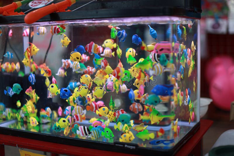 Colorful fish stock image. Image of fish, tables, fair - 20169589