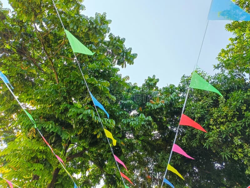The Colorful Flags between the Trees at a Celebration Event Stock Photo ...