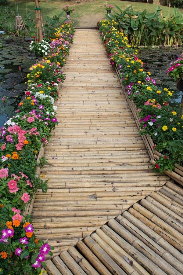 Colorful Flower with Bamboo Bridge Stock Image - Image of natural ...