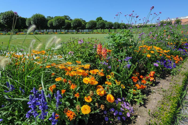 Flower Bed with Different Colors in Summer Stock Photo - Image of hobby ...