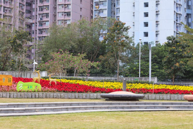 A Colorful Flower Bed at Tko Park, H Stock Photo - Image of grass ...