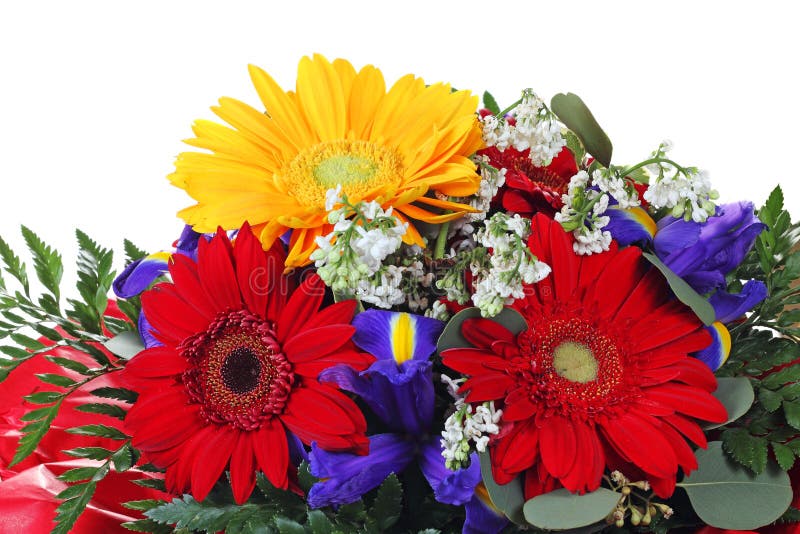 Colorful flower bouquet stock photo. Image of isolated - 19134966