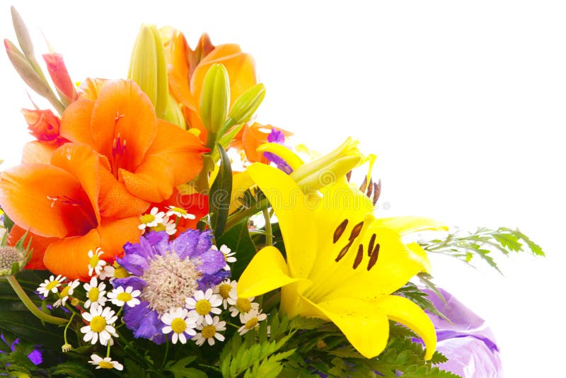 Colorful flower bouquet . stock image. Image of colorful - 37014003