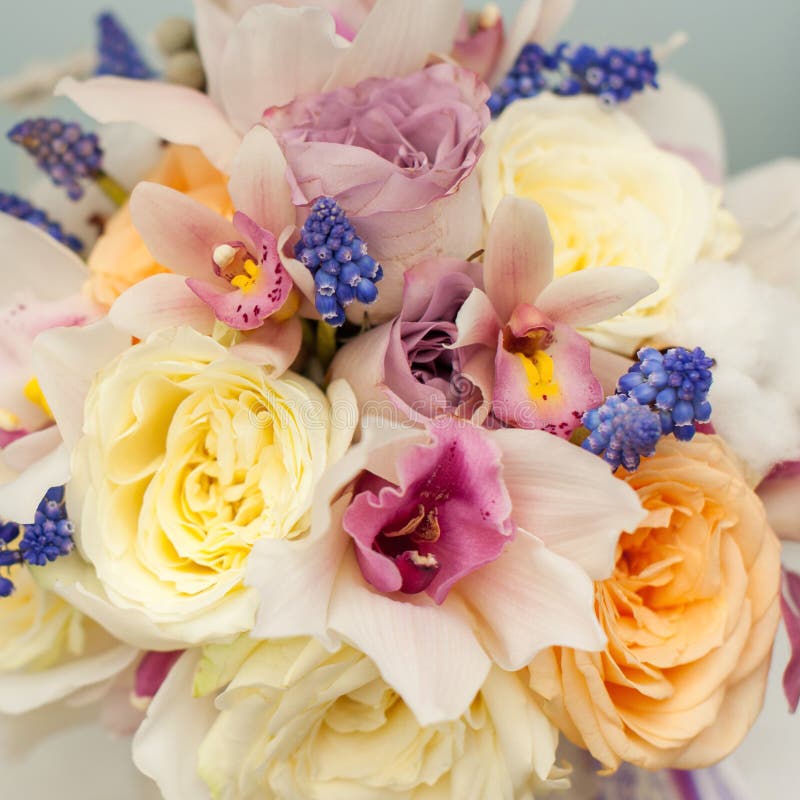 Colorful Flower Composition Stock Photo - Image of event, hydrangea ...