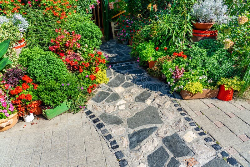 Colorful Flower Composition with a Stone Pathway To it Gardening ...