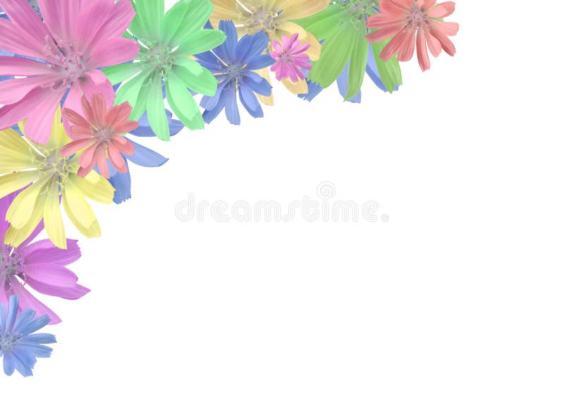 Colorful flower frame stock photo. Image of shades, frame - 18058300