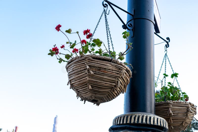 Colorful Flower Pots Hanging Lamp Post beside the Point of View on the ...