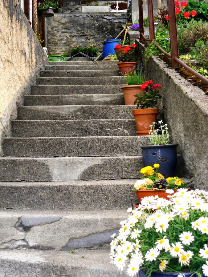 Colorful Flower Pots on Stone Stains in Spain Stock Photo - Image of ...
