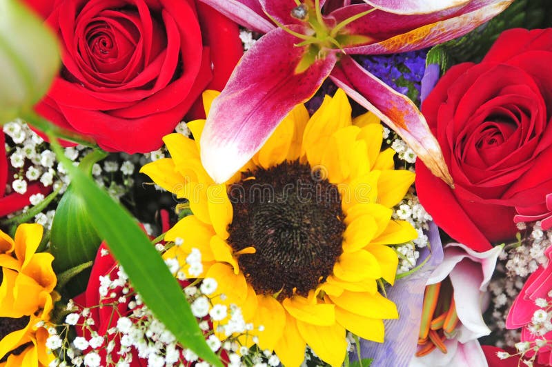 Colorful flowers bunch stock image. Image of flora, yellow - 5831465