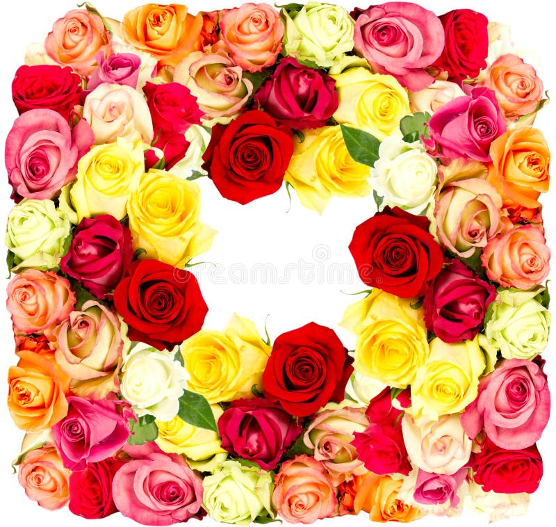 Colorful flowers frame stock photo. Image of event, birthday - 18017058