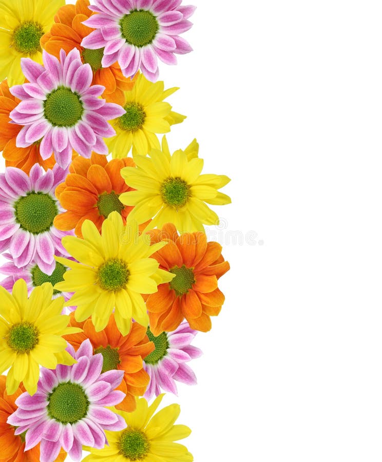 Mixed colorful fruit jelly stock photo. Image of closeup - 15956260