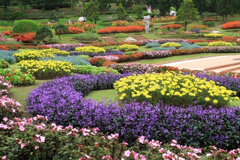 Colorful flowers garden stock photo. Image of yard, colorful - 21626694