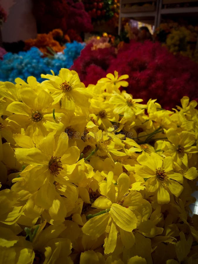 Colorful Flowers in One Frame Looks so Beautiful Stock Photo - Image of ...