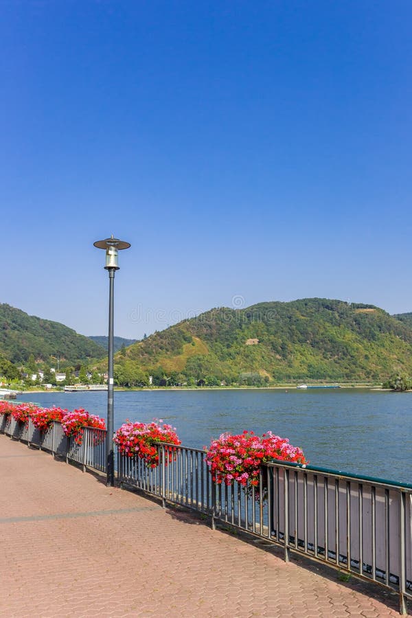 Colorful Flowers at the Promenade in Boppard Stock Image - Image of ...