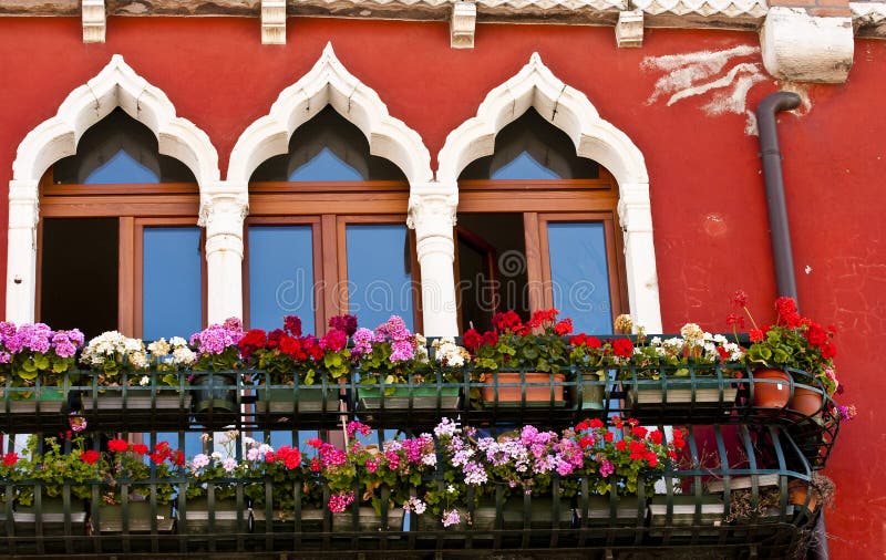 Colorful Flowers Under Window in Venice Stock Photo - Image of ...