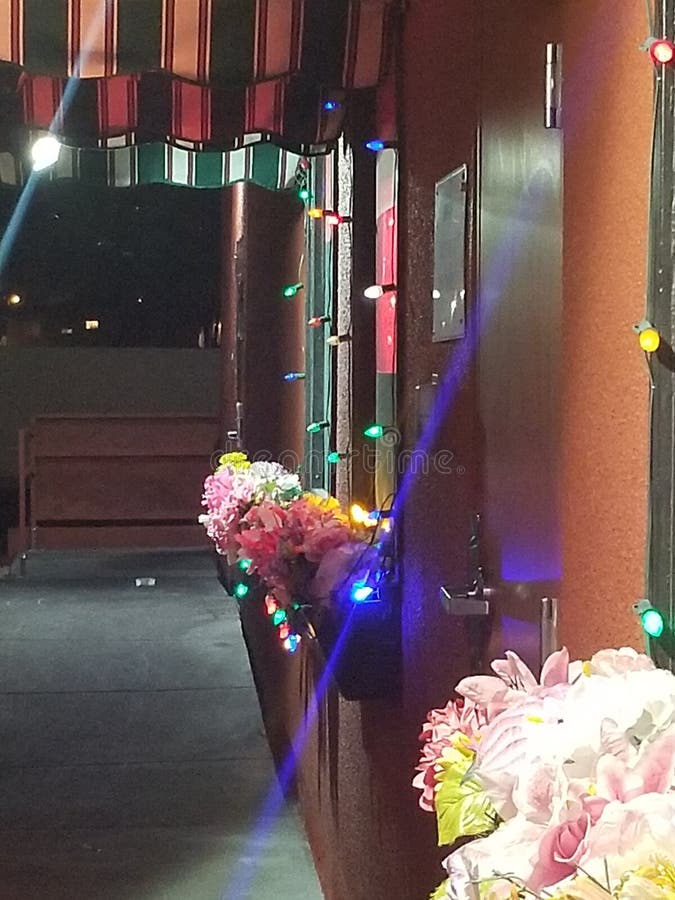 Colorful Flowers in the Window Stock Photo - Image of night, window ...