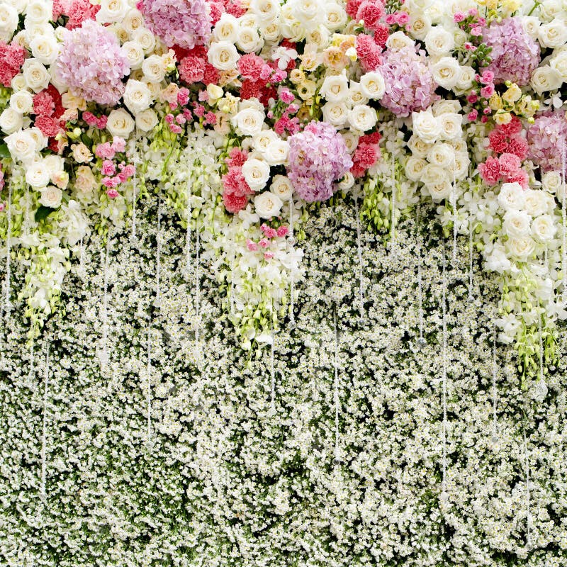9,900+ Flower backdrop Free Stock Photos - StockFreeImages