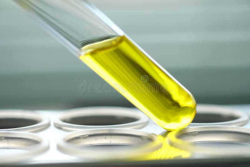 Colorful Fluid in Glass Ware Stock Photo - Image of biotechnology ...