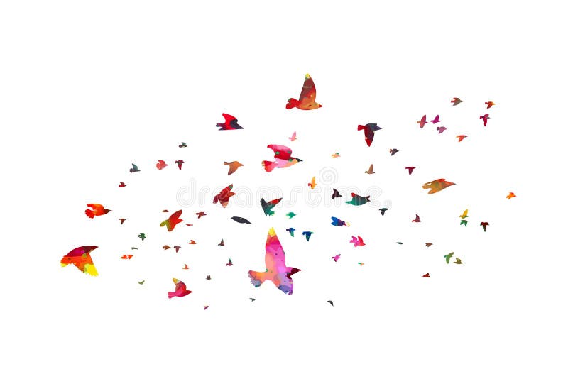 Colorful Flying Birds. Birds Migrating To the South. Vector ...