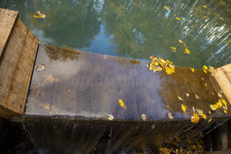 Colorful Foliage Floating in the Dark Fall Water with Reflection of the ...